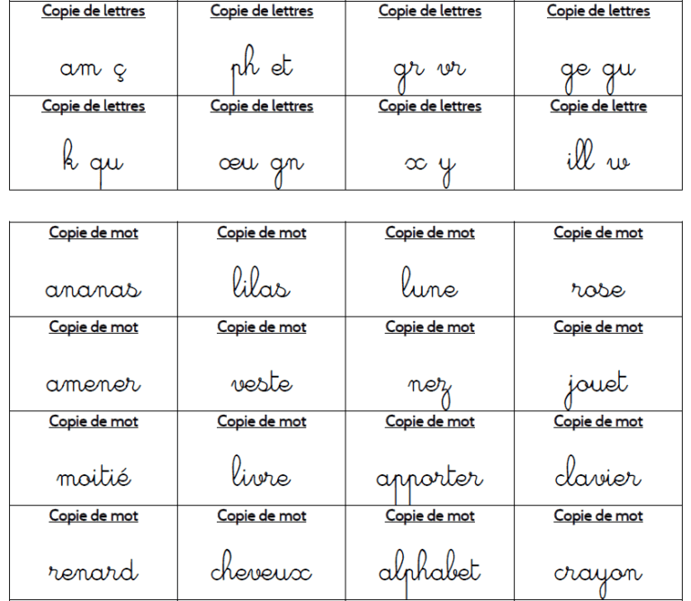 Rituels au CP : Copie – Chat d'école