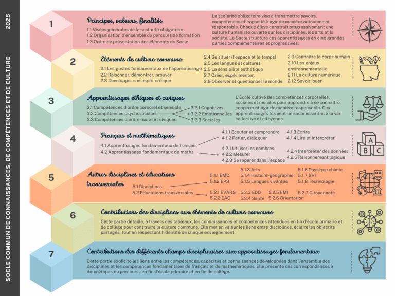 Nouveau socle commun 2025 – Chat d'école